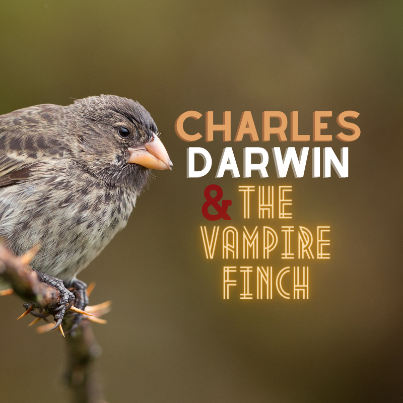 CHARLES DARWIN AND THE VAMPIRE FINCH – Nature Anywhere