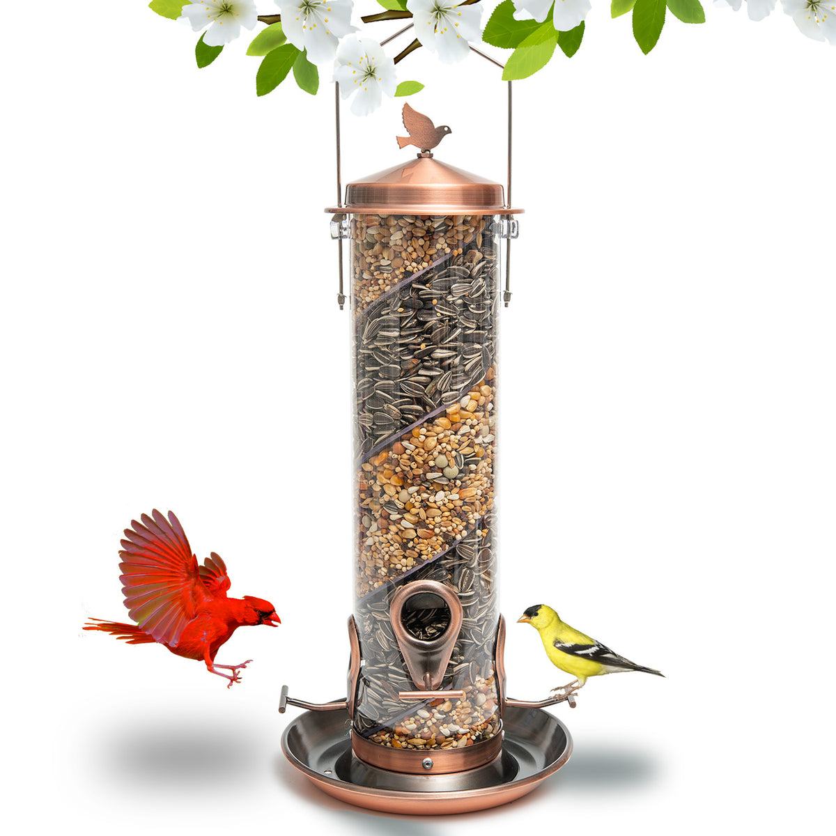 Spiral Feeder 2-in-1 Tube Feeder – Nature Anywhere