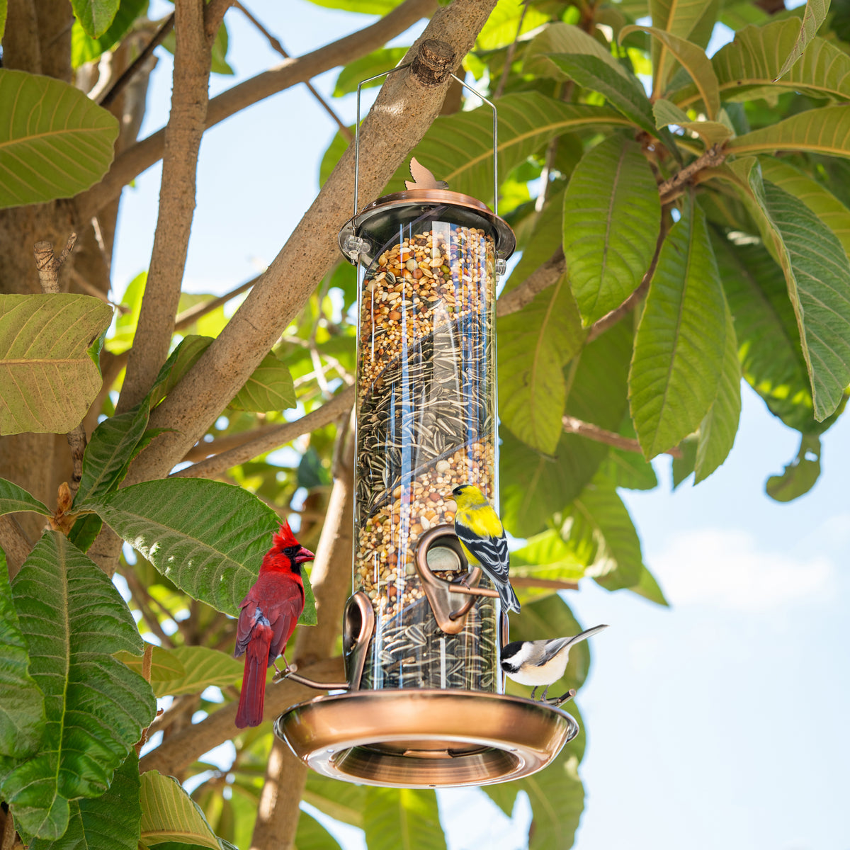 Spiral Feeder 2-in-1 Tube Feeder – Nature Anywhere